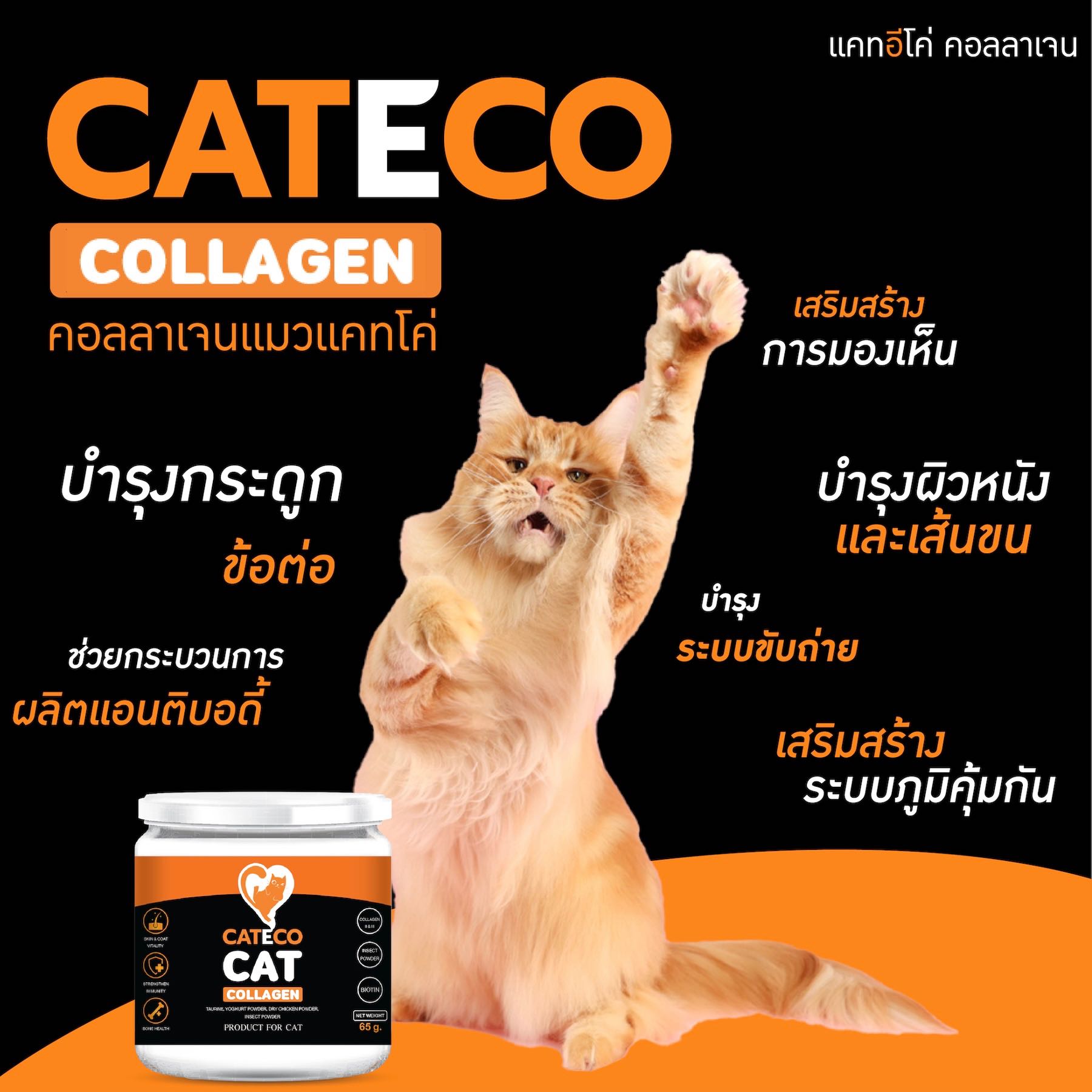 CATECO CAT COLLAGEN คอลลาเจนแมวแคทโค่ บำรุงเส้นขน ผิวหนัง กระดูกและข้อ ...