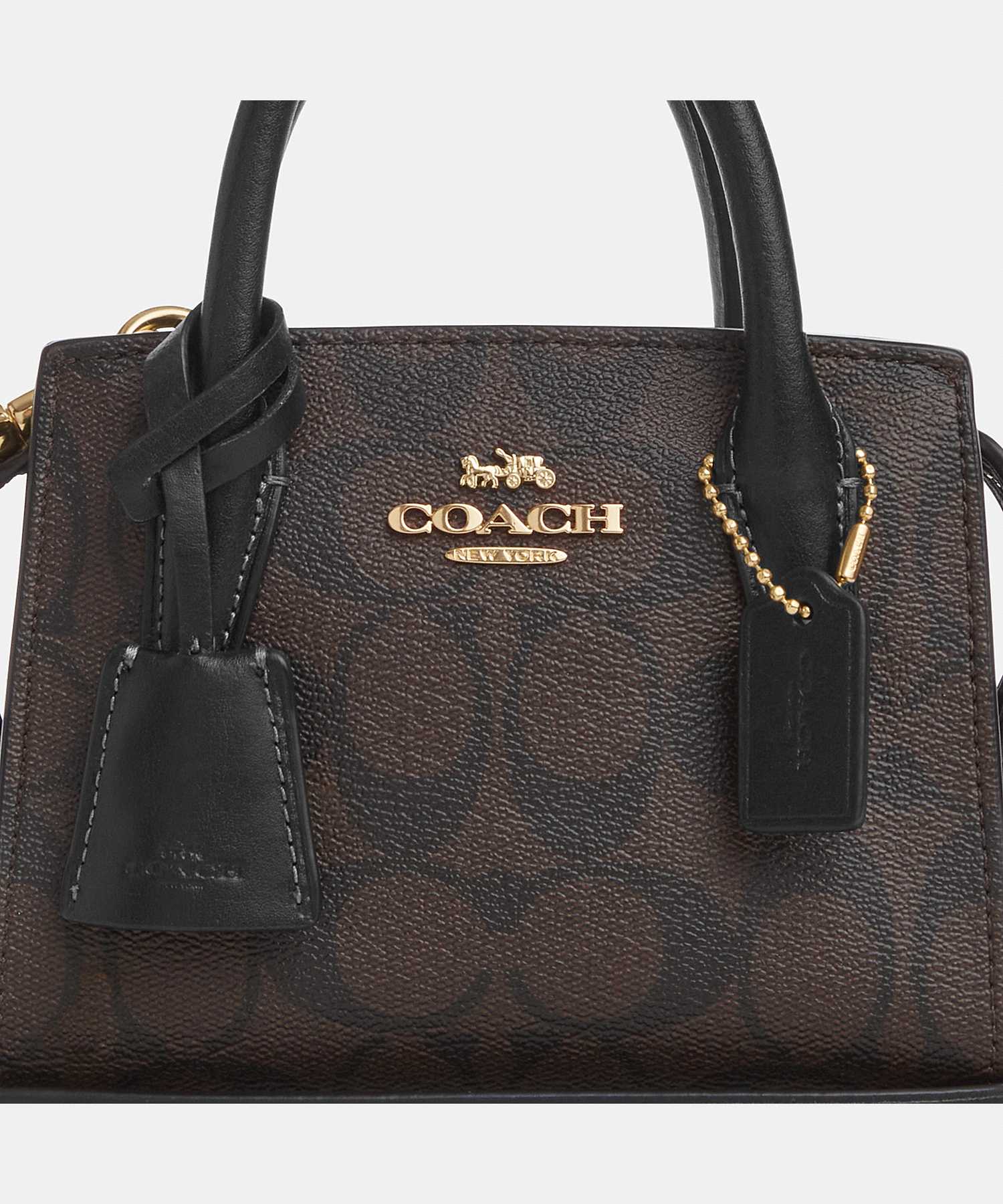 COACH ANDREA MINI CARRYALL IN SIGNATURE CANVAS CO975 IMAA8 | LINE SHOPPING