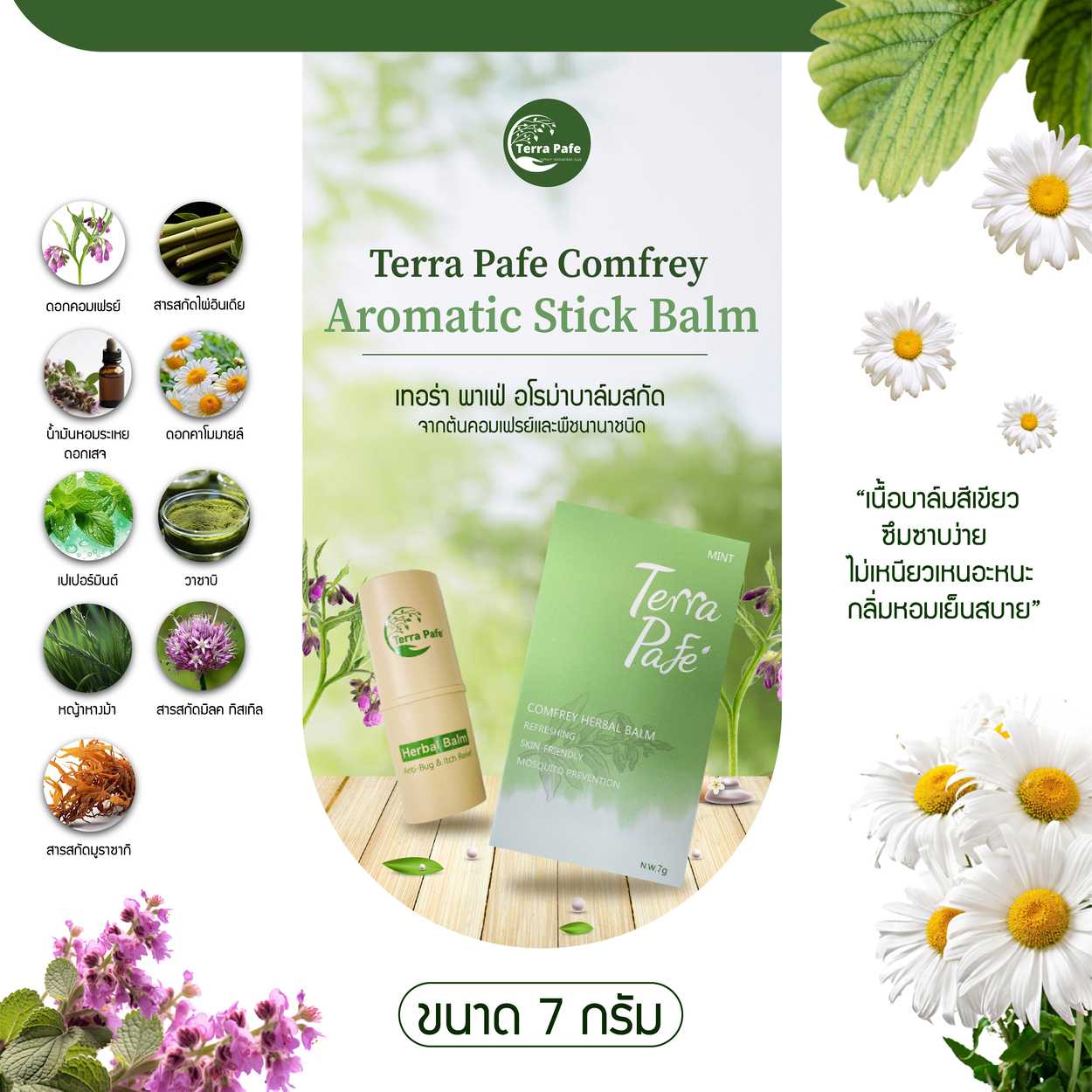 Terra Pafe Balm aromatic set 5 ชิ้น ยาหม่องแท่ง แก้ยุงกัด แมลงสัตว์ กัด ...