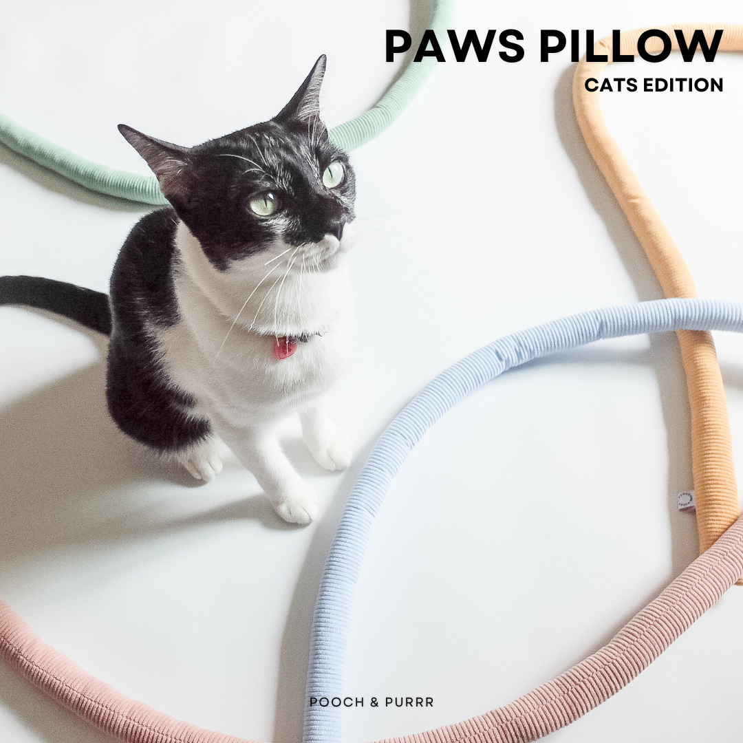 POOCH & PURRR DESIGN | LINE SHOPPING